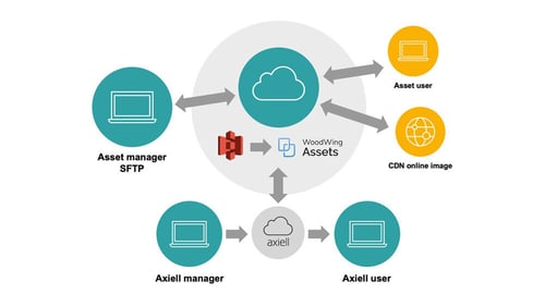 DAM & Catalog Software: curating the future (webinar recap)