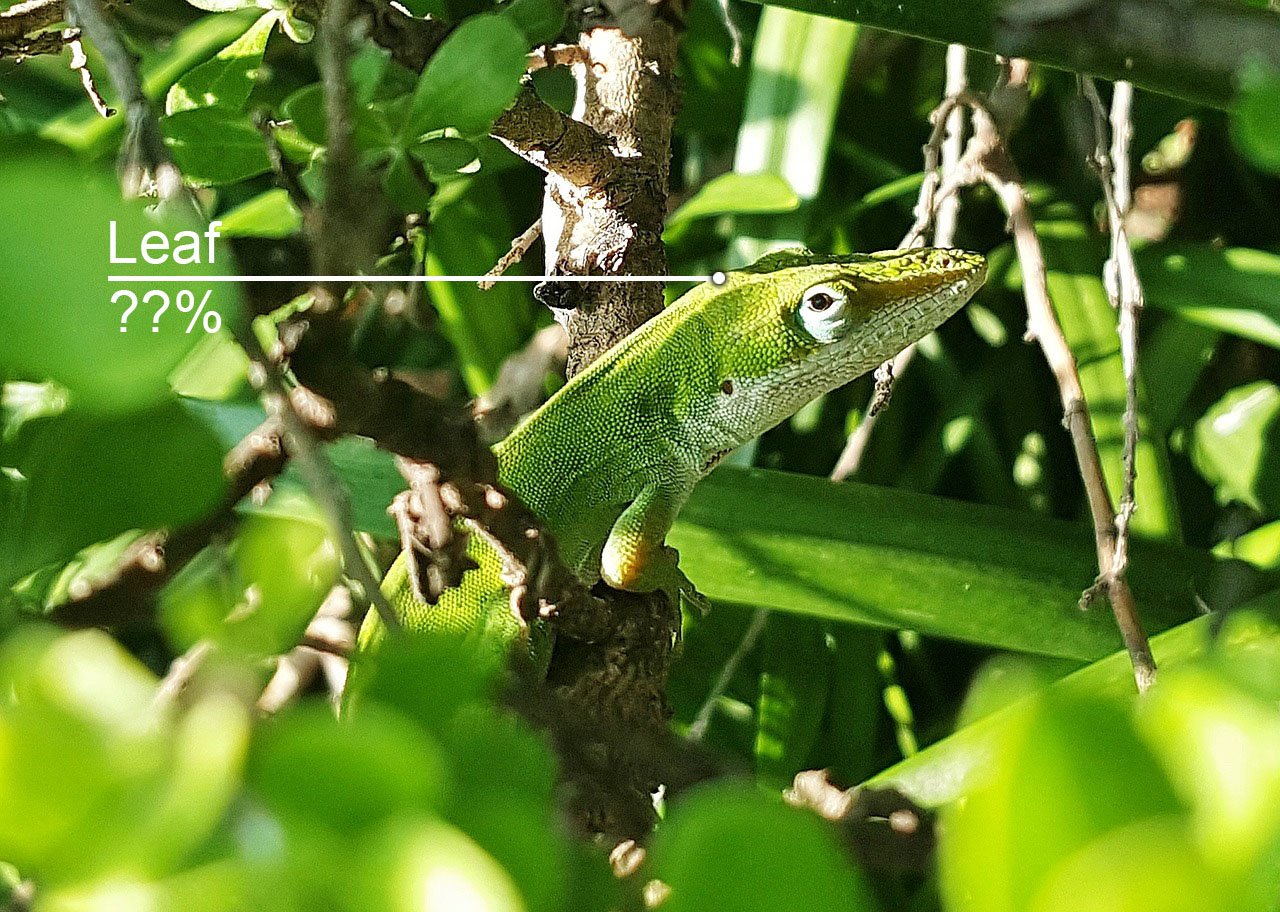 AI & DAM: 3 things DAM users need to learn before getting started with AI